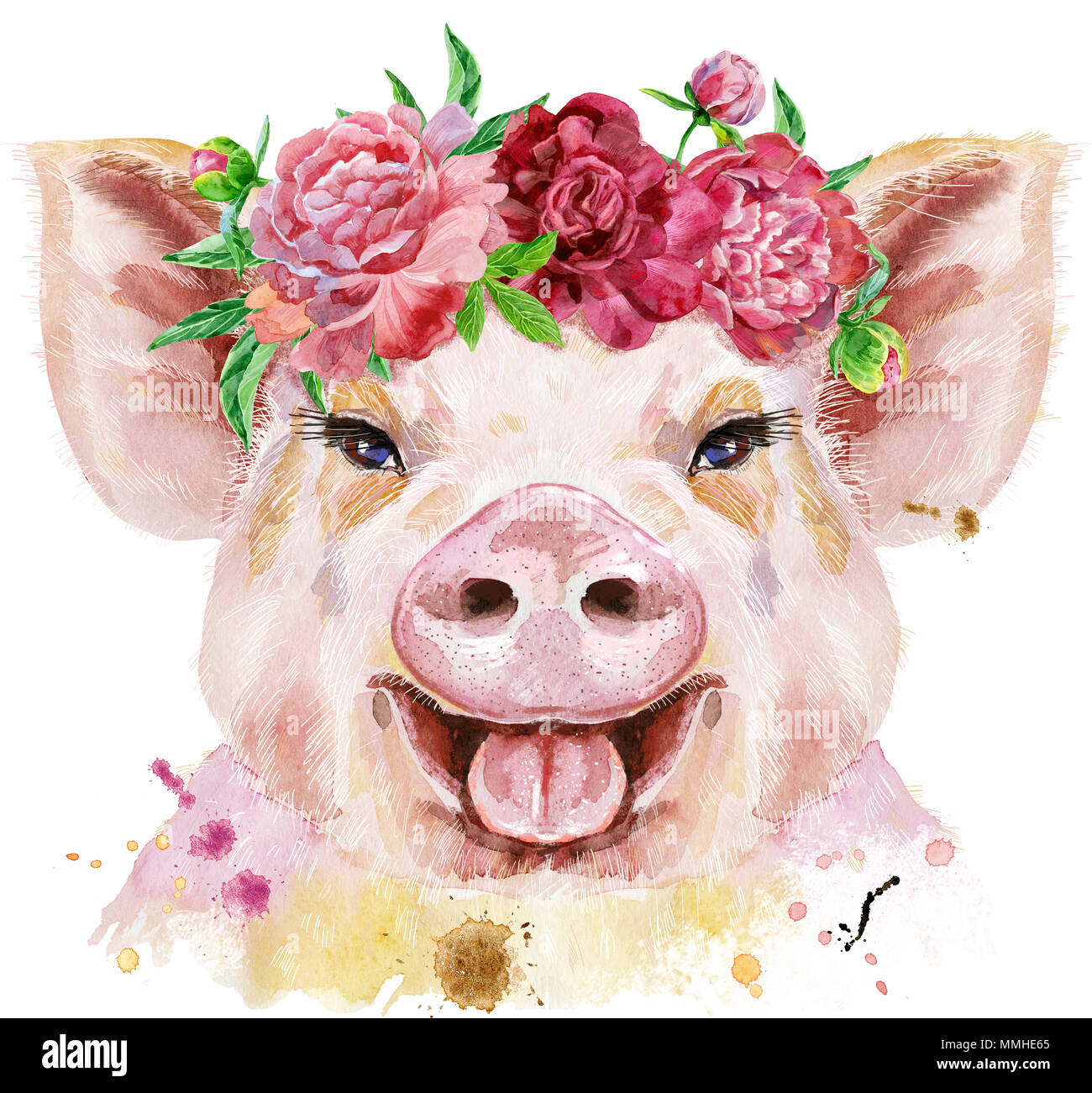 Watercolor portrait of pig Stock Photo - Alamy