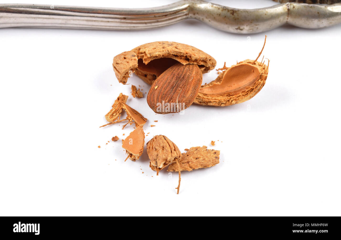 Almond cracked with nutcracker on white Stock Photo - Alamy