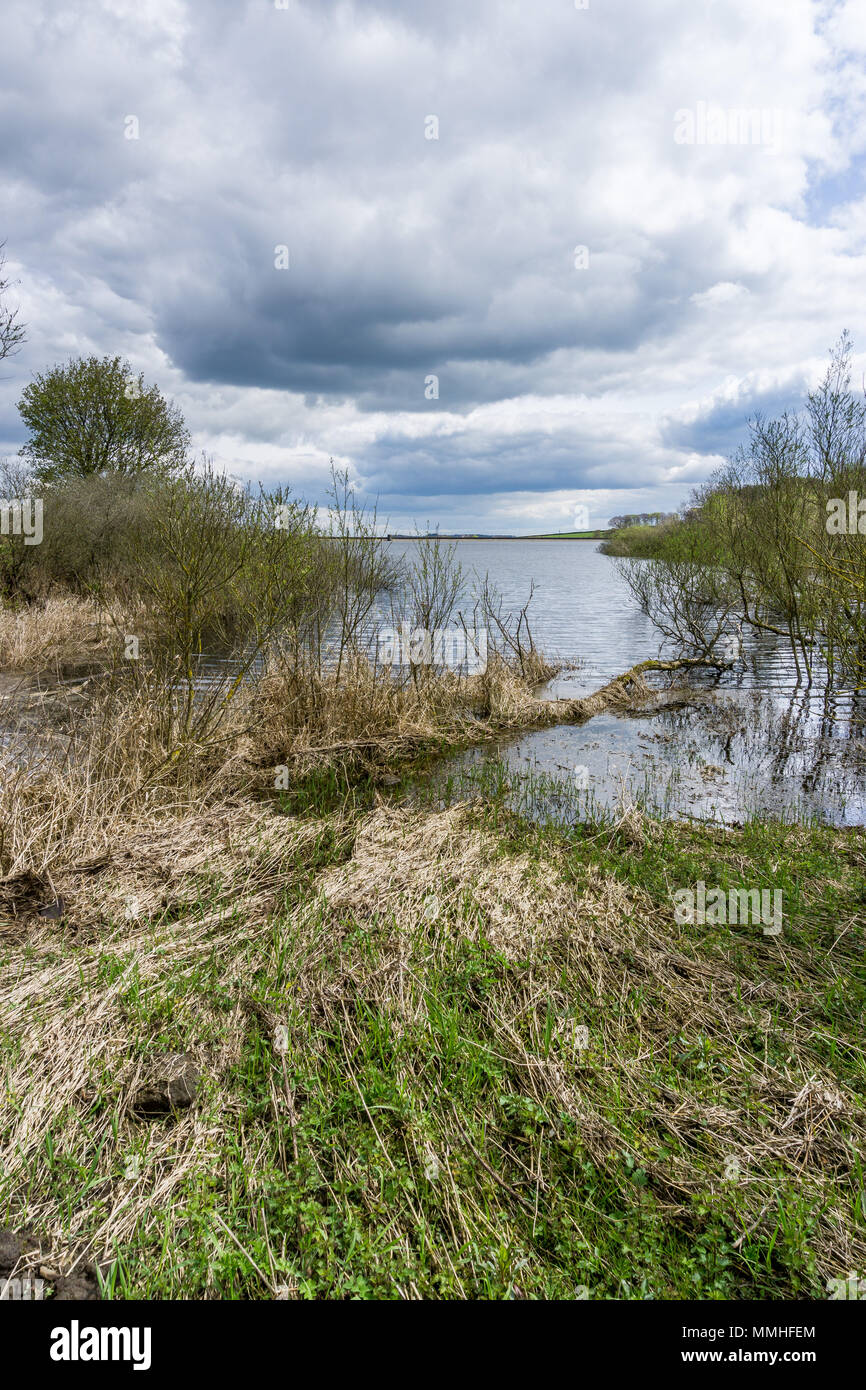 Sheffield south yorkshire england uk hi-res stock photography and ...