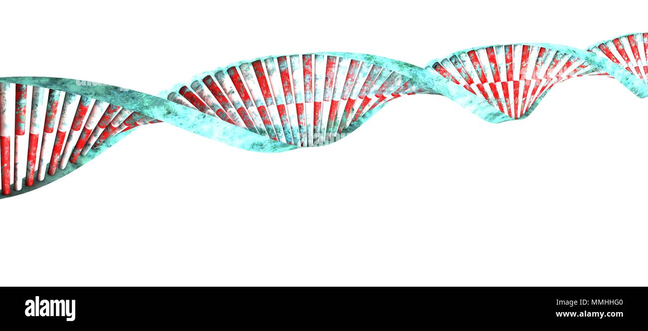 DNA, Deoxyribonucleic acid is a thread-like chain of nucleotides ...