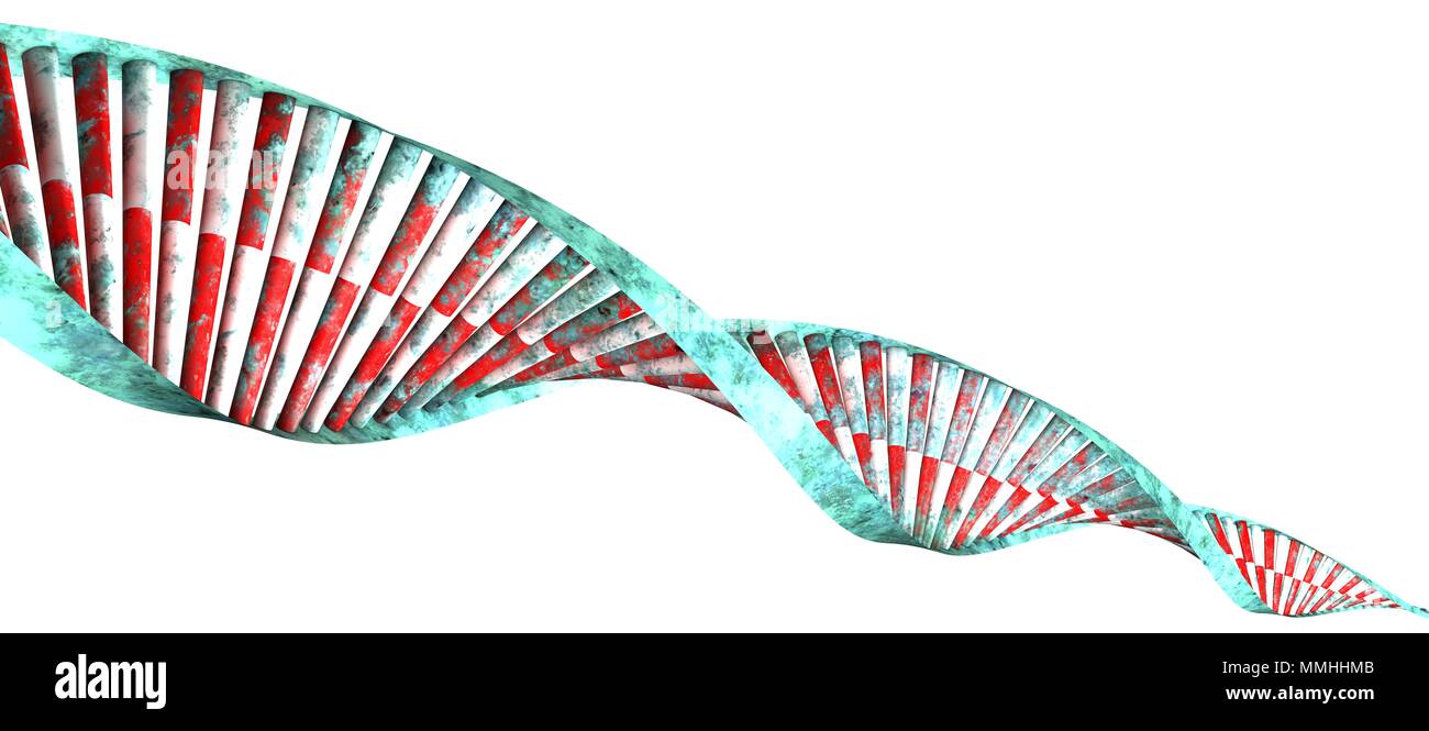 DNA, Deoxyribonucleic acid is a thread-like chain of nucleotides ...