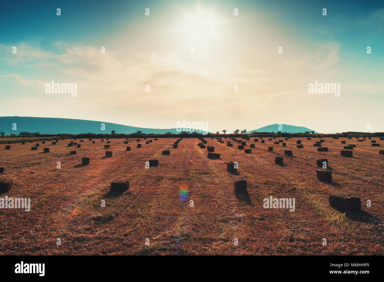 Farmland stacked hay bales hi-res stock photography and images - Alamy