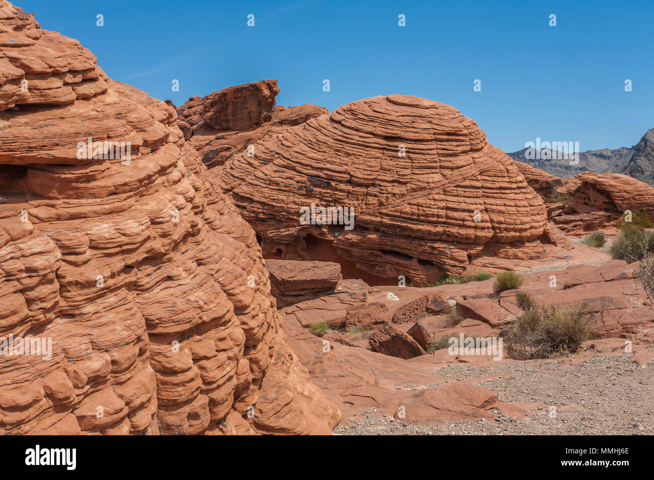 Beehive shaped red Aztec sandstone rock formations in the Valley of ...