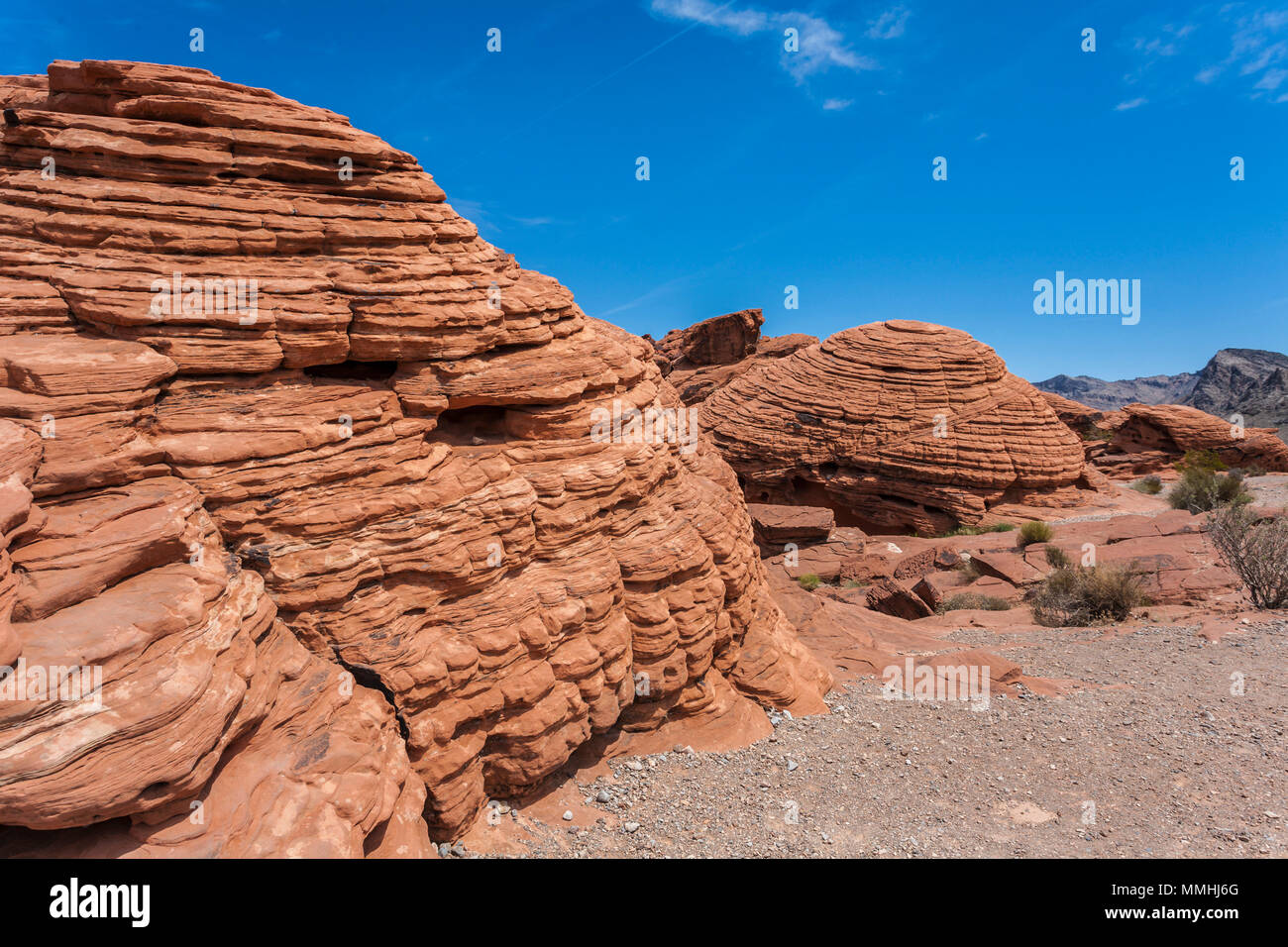 Beehive shaped red Aztec sandstone rock formations in the Valley of ...