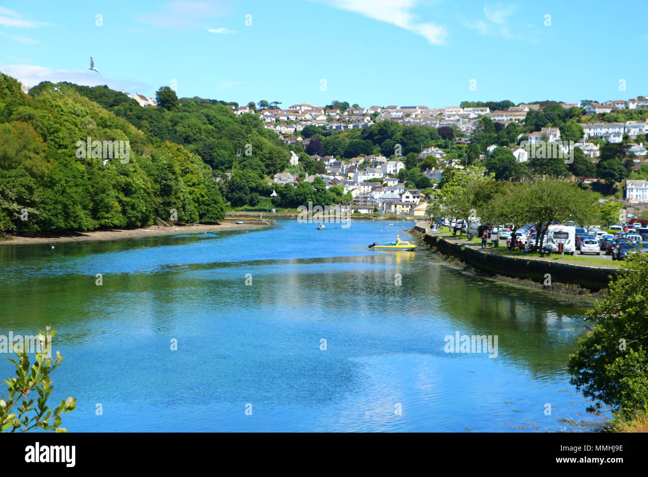 Looe Estuary on an incoming tide in summer Stock Photo - Alamy