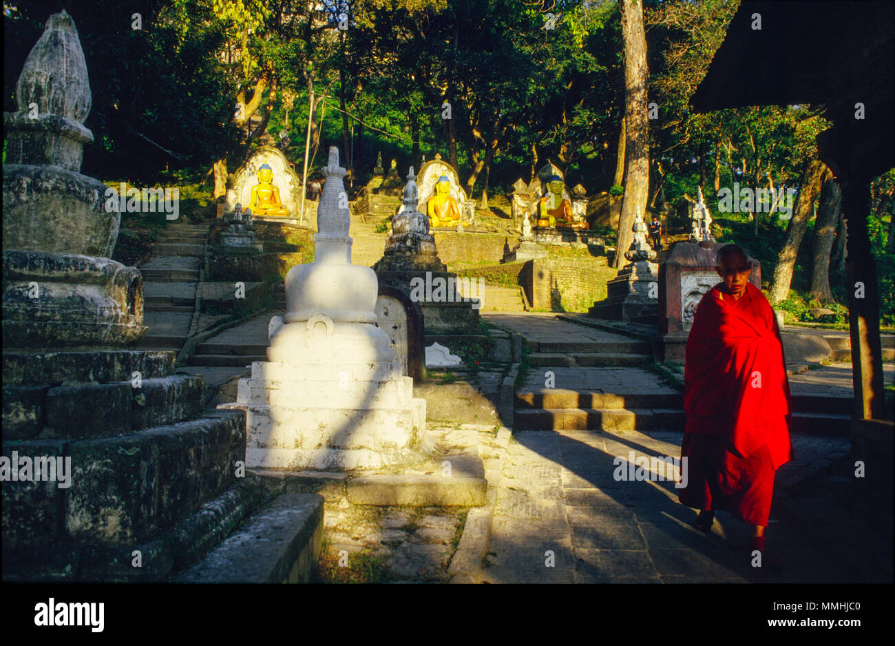 Kathmandu, Nepal; monk in red descending Swayambhunath steps (Monkey ...