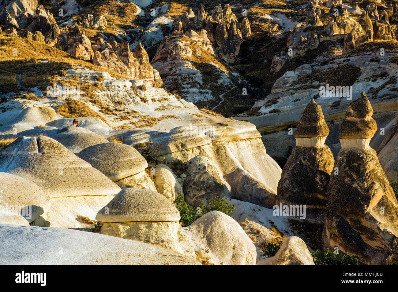 Cappadocia, Turkey; Pasabag fairy chimneys, Zelve valley Stock Photo ...