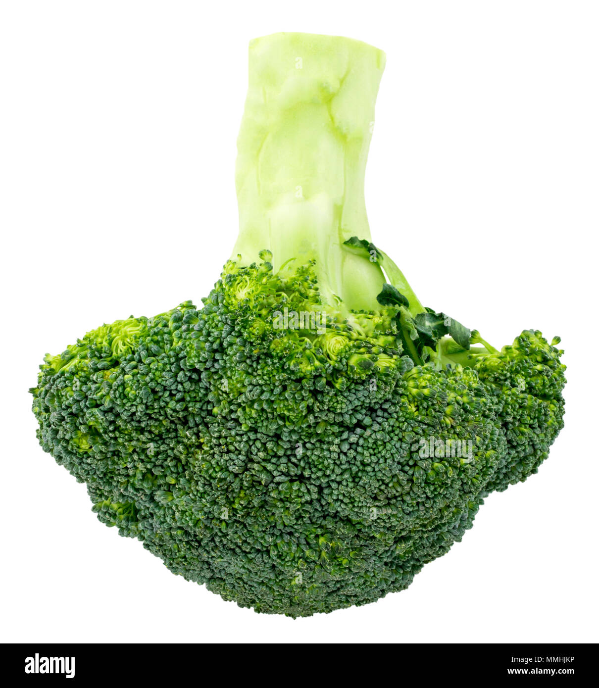 Fresh broccoli isolated on white background. With clipping path. Full ...