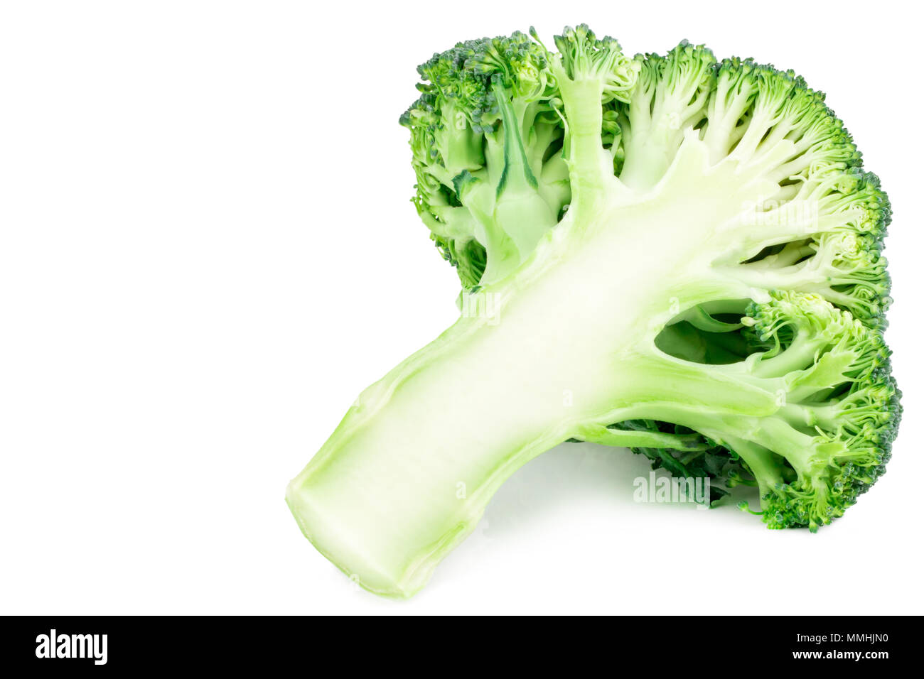 Fresh broccoli isolated on white background. With clipping path. Full ...