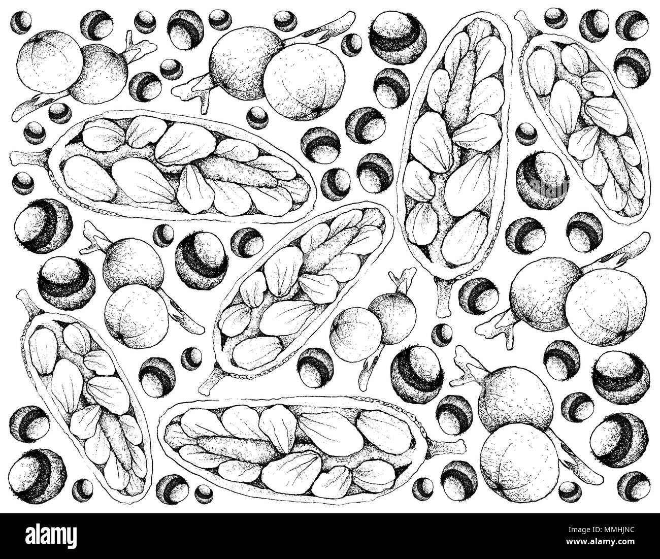 Plinia edulis hi-res stock photography and images - Alamy