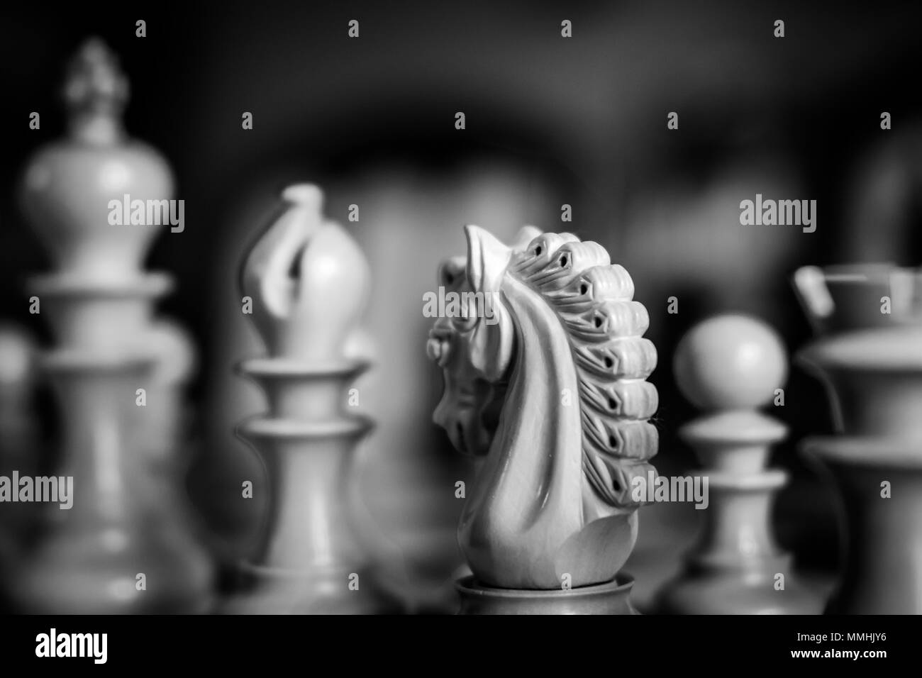 Shallow focus image of wooden Knight chess piece seen in monochrome ...