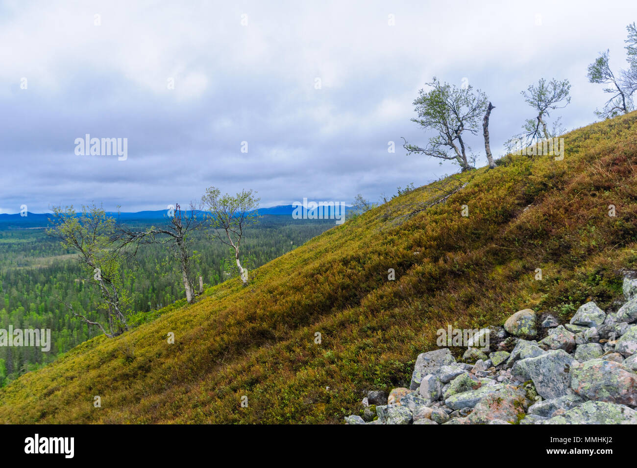 Landscape from the summit of Ukko-Luosto Fell, in Pyha-Luosto National ...