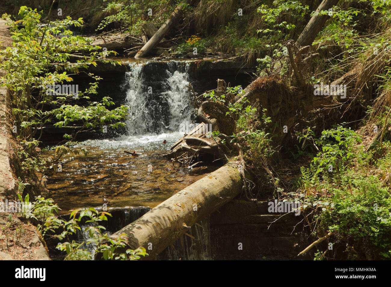 Vistuala hi-res stock photography and images - Alamy