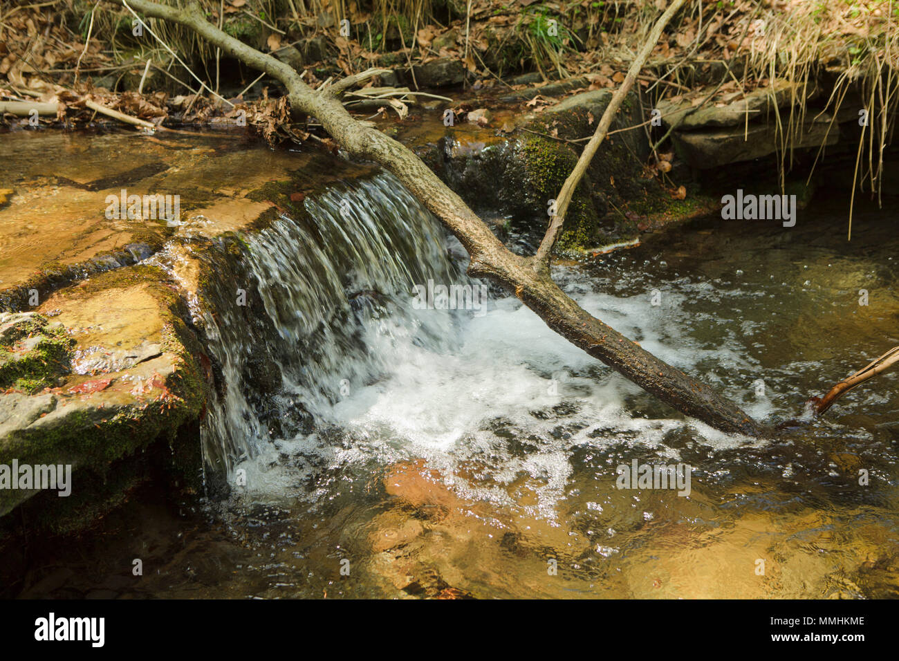 Stream with stones hi-res stock photography and images - Alamy