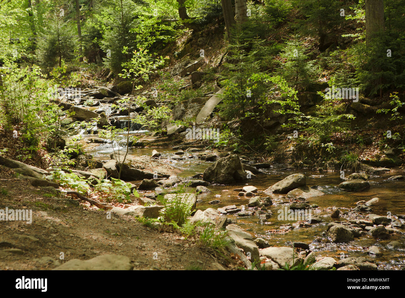 Crossin hi-res stock photography and images - Alamy