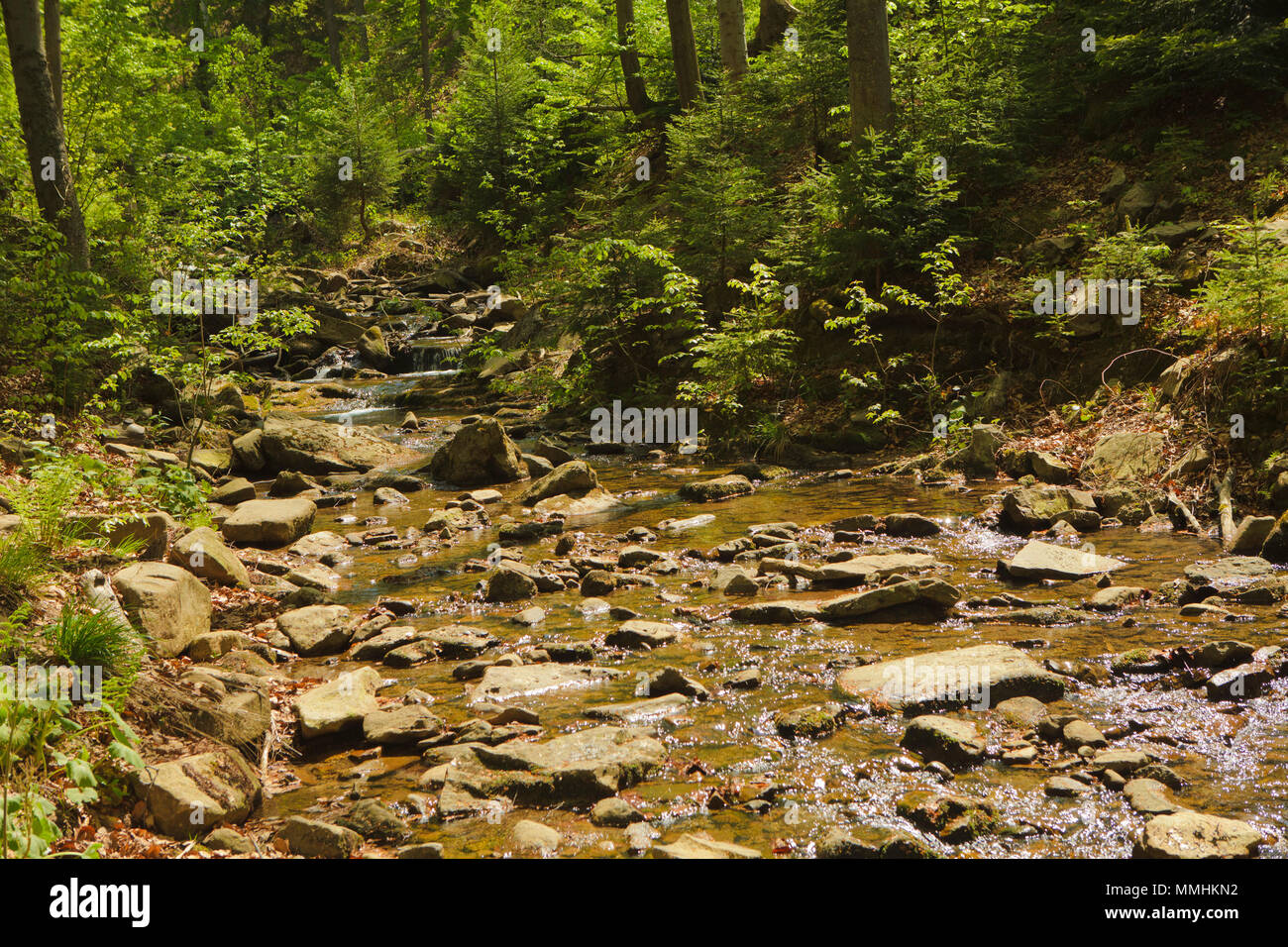 Stream with stones hi-res stock photography and images - Alamy