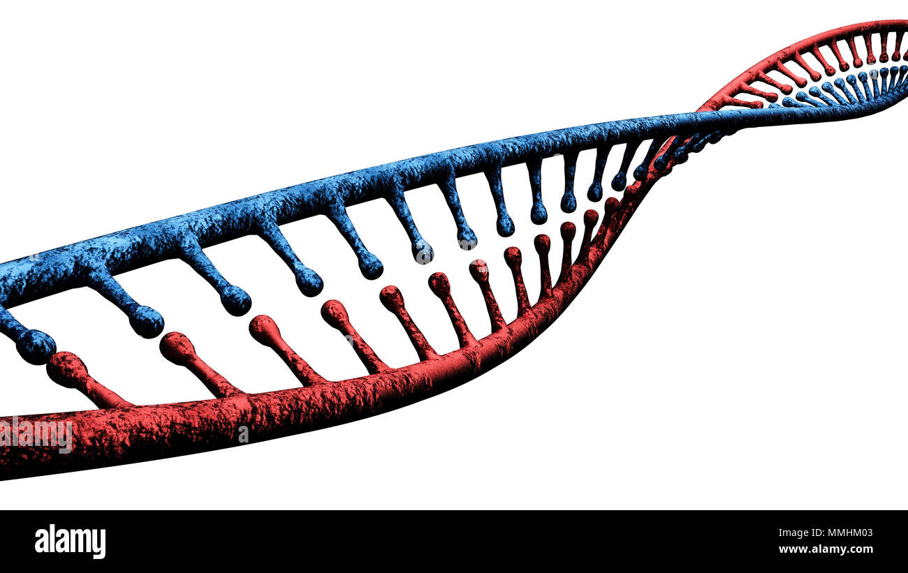 DNA, Deoxyribonucleic acid is a thread-like chain of nucleotides ...