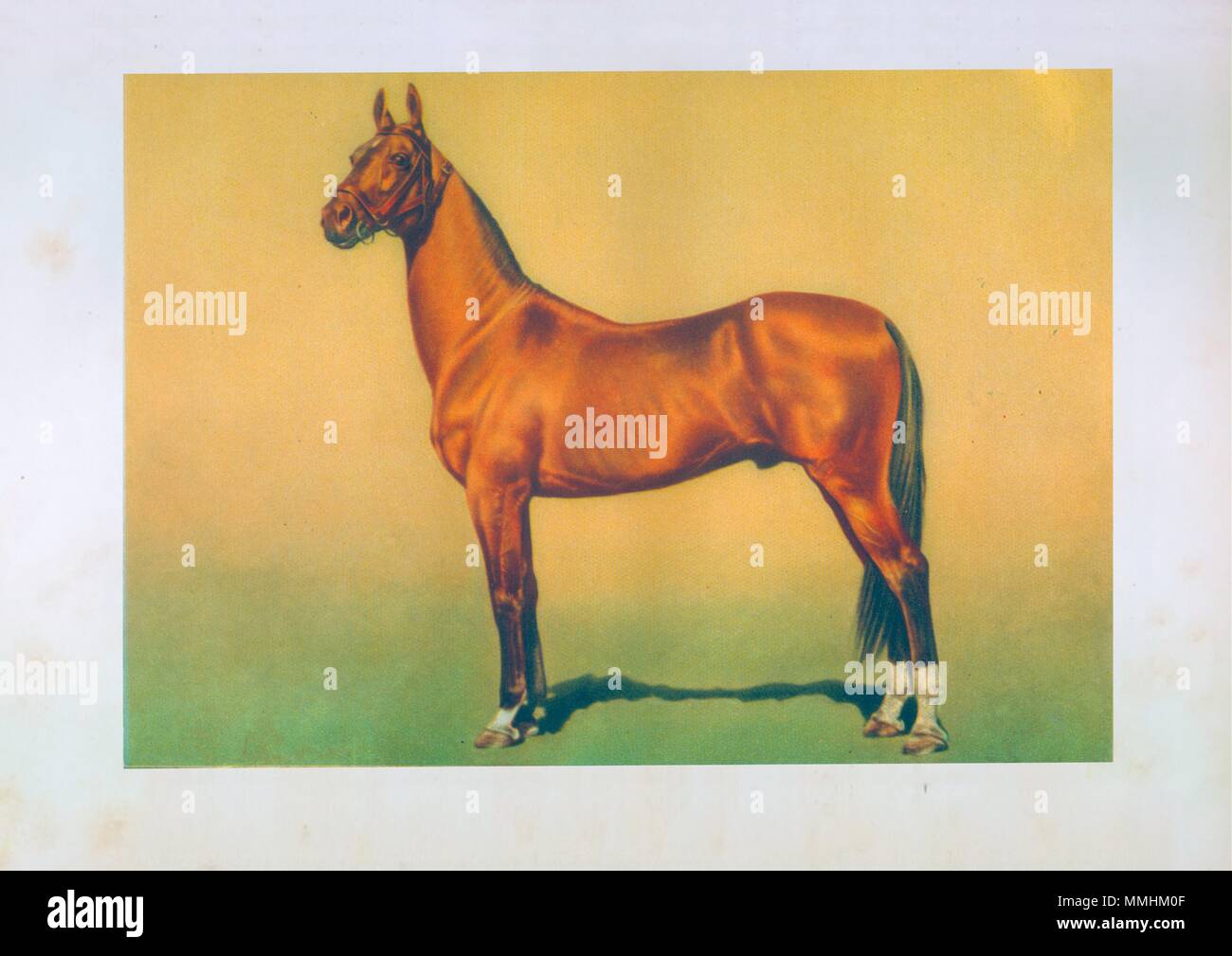 MOSCOW, RUSSIA - MAY 2018: Illustration printed in USSR in old soviet ...