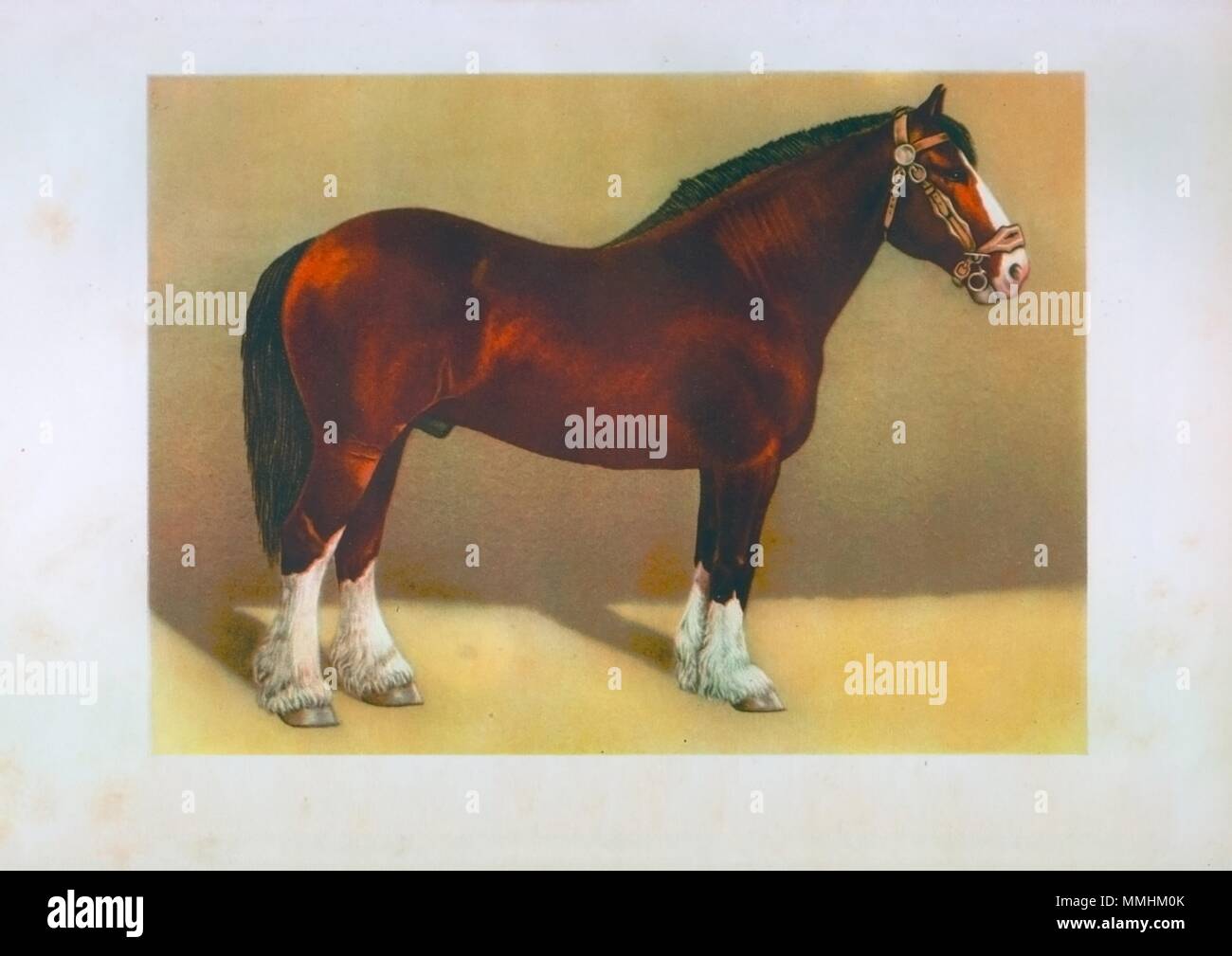 MOSCOW, RUSSIA - MAY 2018: Illustration printed in USSR in old soviet ...