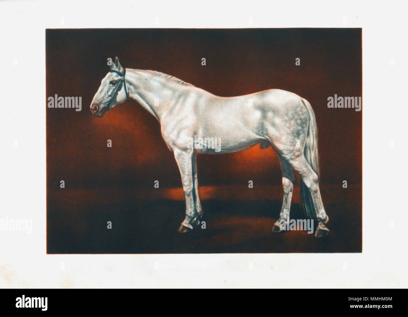 MOSCOW, RUSSIA - MAY 2018: Illustration printed in USSR in old soviet ...