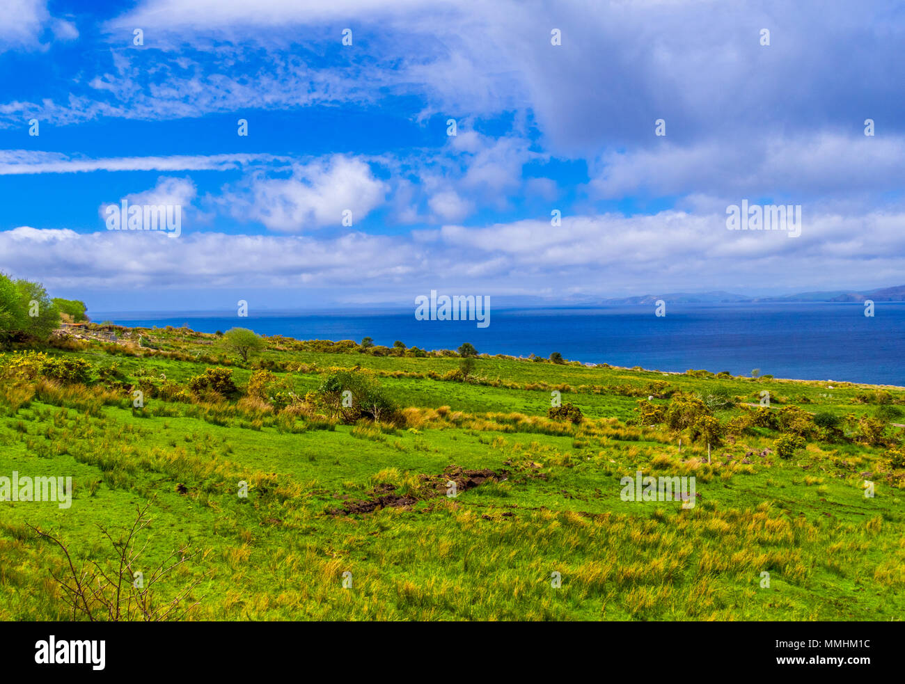 Beautiful nature and greens at Dingle Peninsula Ireland Stock Photo - Alamy