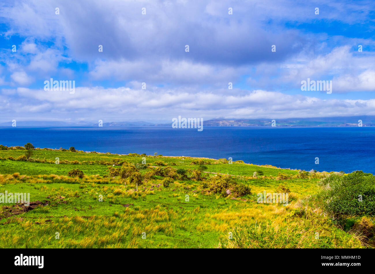 Beautiful nature and greens at Dingle Peninsula Ireland Stock Photo - Alamy