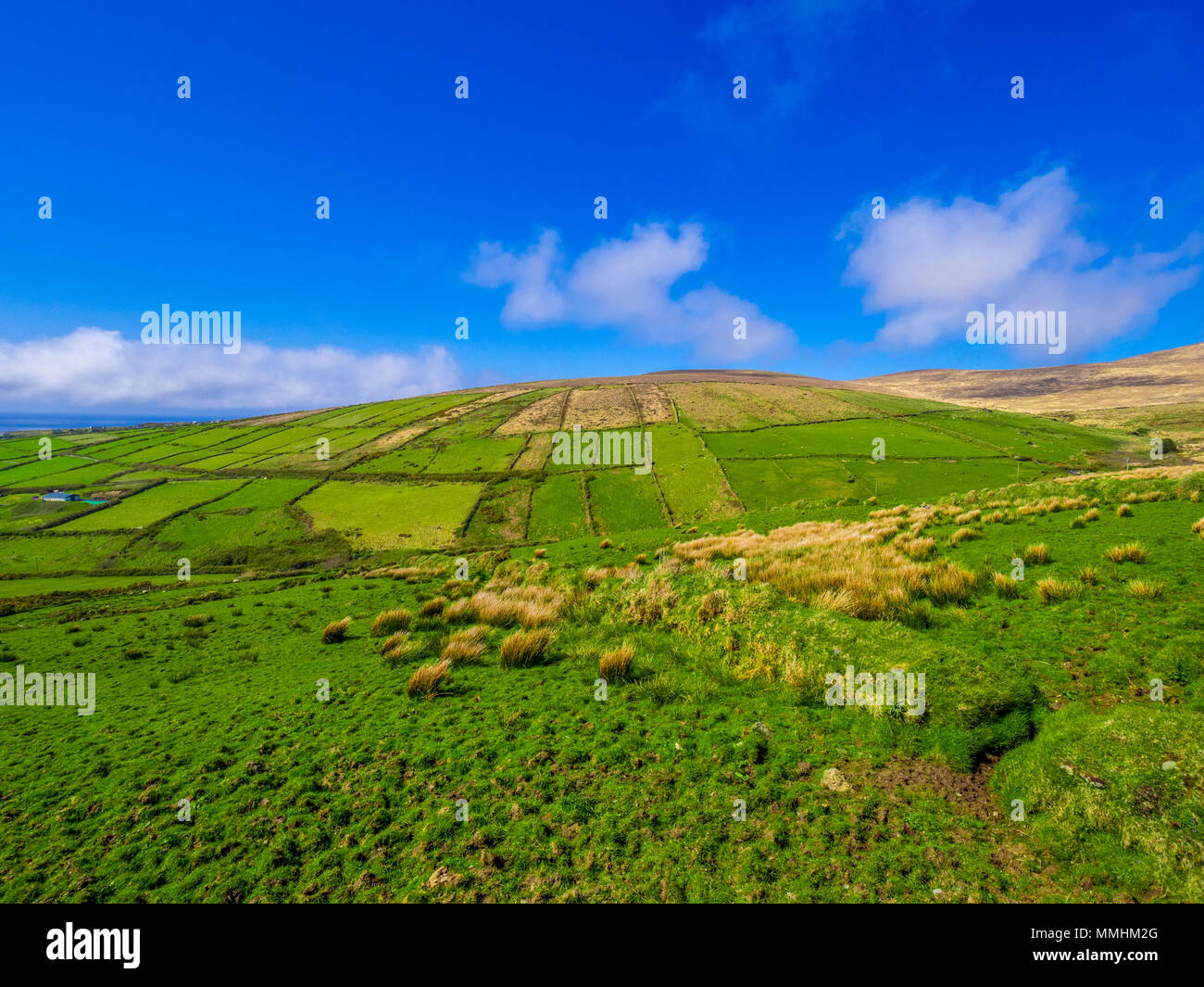Beautiful nature and greens at Dingle Peninsula Ireland Stock Photo - Alamy