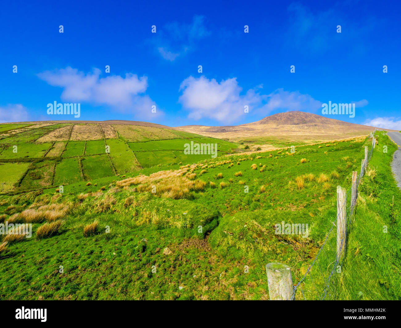Beautiful nature and greens at Dingle Peninsula Ireland Stock Photo - Alamy
