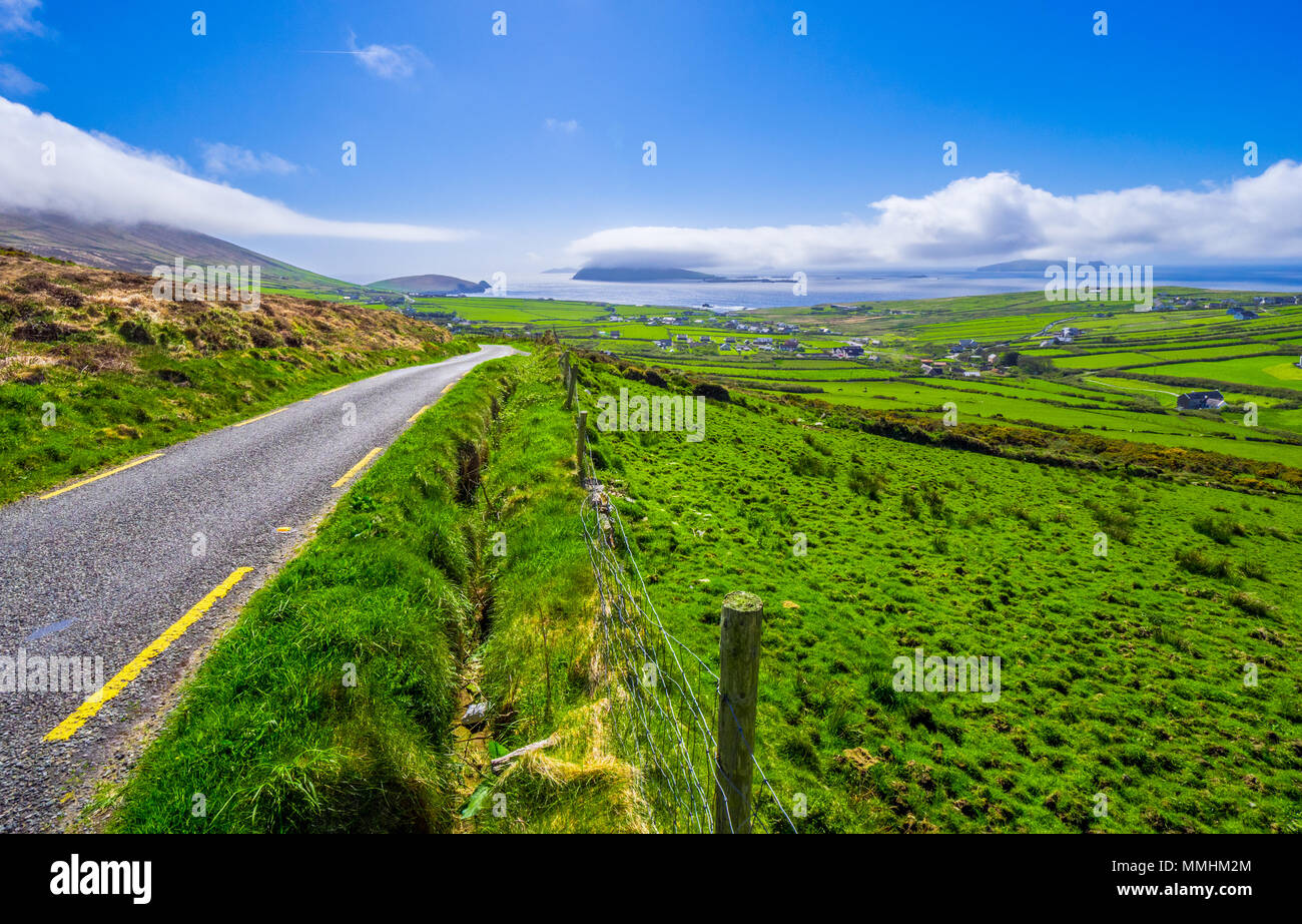 Beautiful nature and greens at Dingle Peninsula Ireland Stock Photo - Alamy
