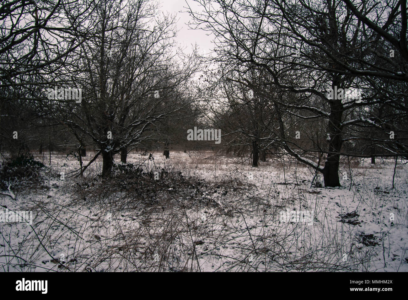 Delapre Abbey House High Resolution Stock Photography and Images - Alamy