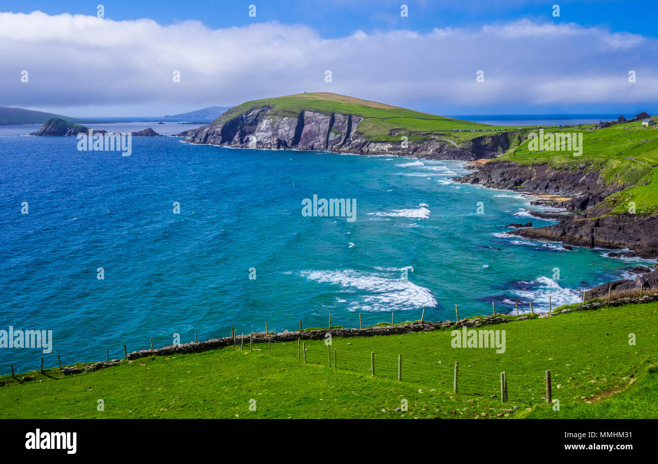 Beautiful nature and greens at Dingle Peninsula Ireland Stock Photo - Alamy