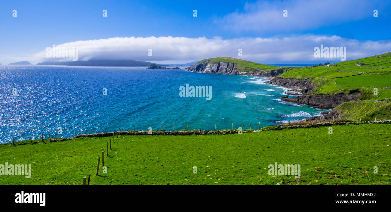 Beautiful nature and greens at Dingle Peninsula Ireland Stock Photo - Alamy