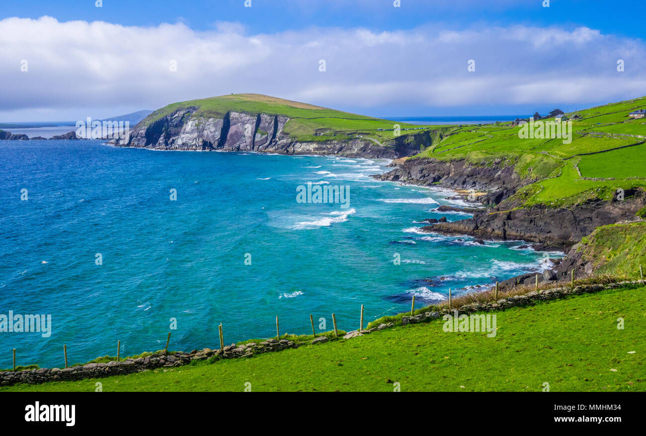 Beautiful nature and greens at Dingle Peninsula Ireland Stock Photo - Alamy