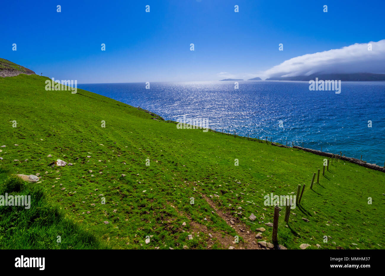 Beautiful nature and greens at Dingle Peninsula Ireland Stock Photo - Alamy