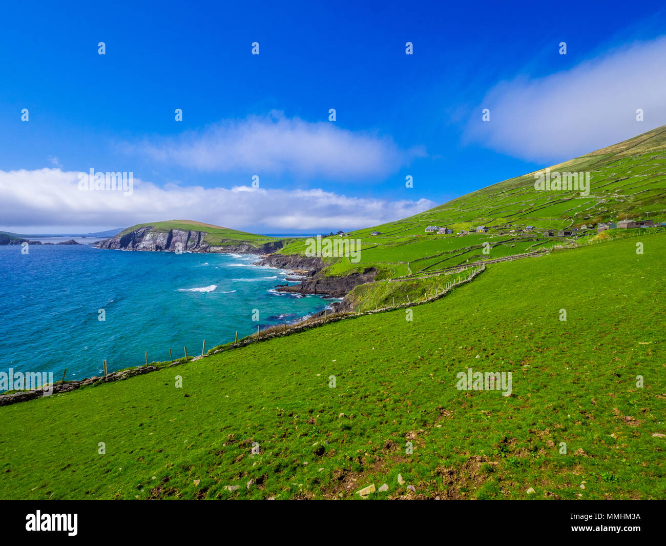 Beautiful nature and greens at Dingle Peninsula Ireland Stock Photo - Alamy