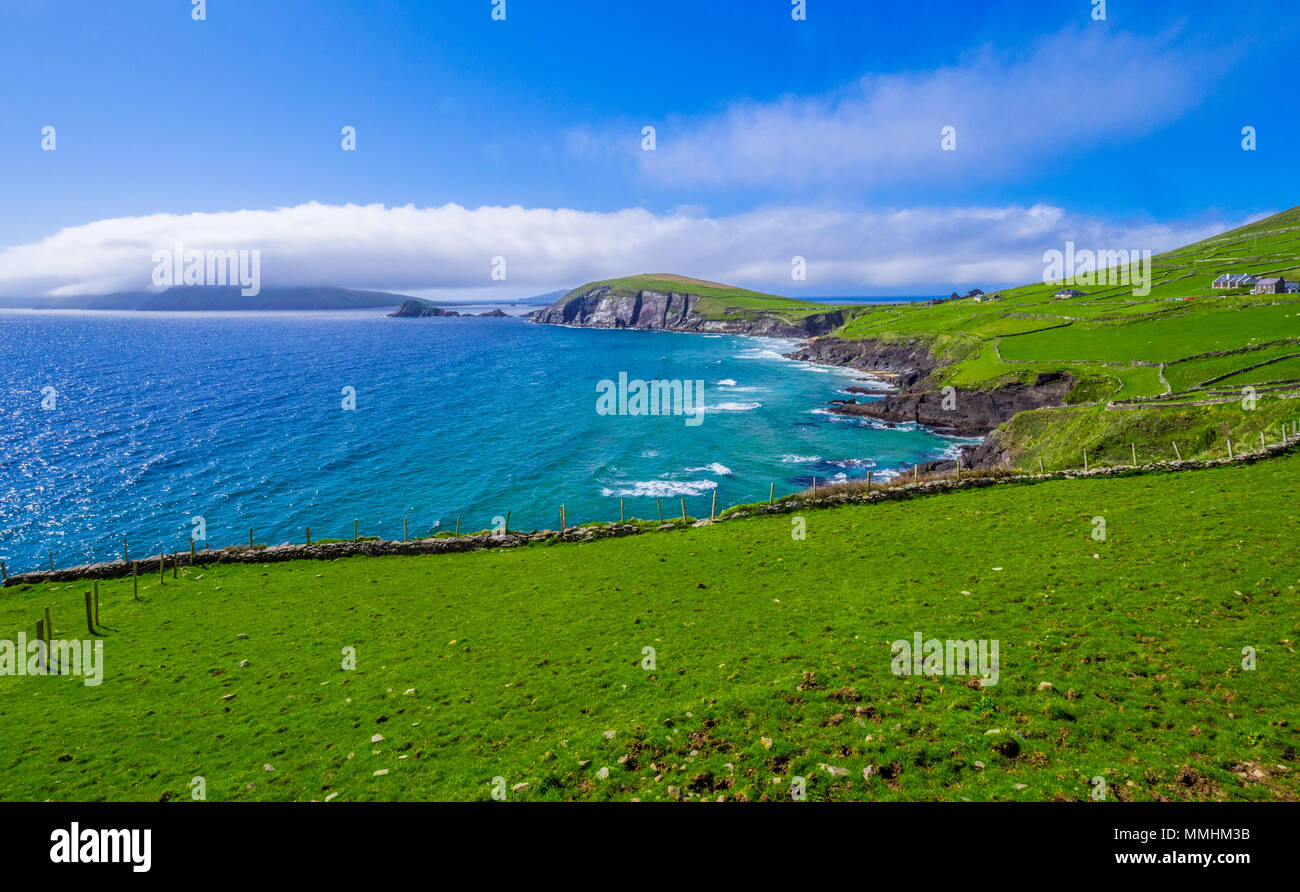 Beautiful nature and greens at Dingle Peninsula Ireland Stock Photo - Alamy