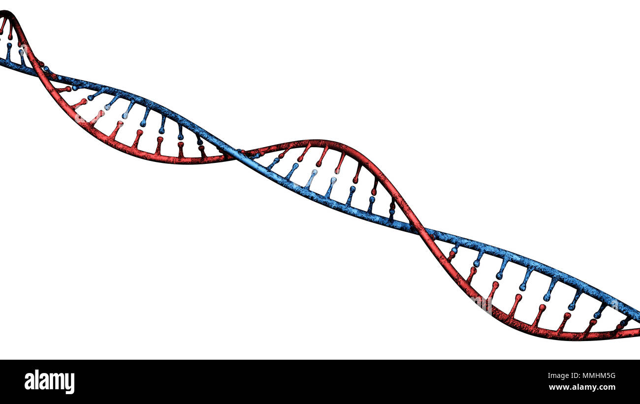 DNA, Deoxyribonucleic acid is a thread-like chain of nucleotides ...