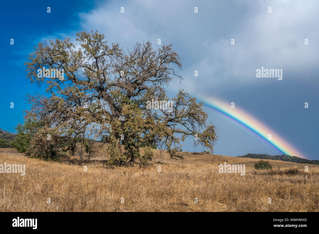 Oak view rainbow california hi-res stock photography and images - Alamy