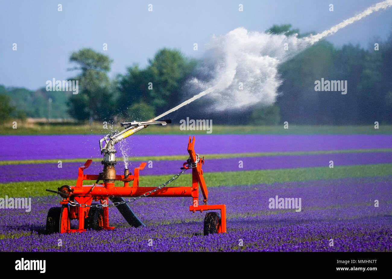 Crop sprinkler system hi-res stock photography and images - Alamy