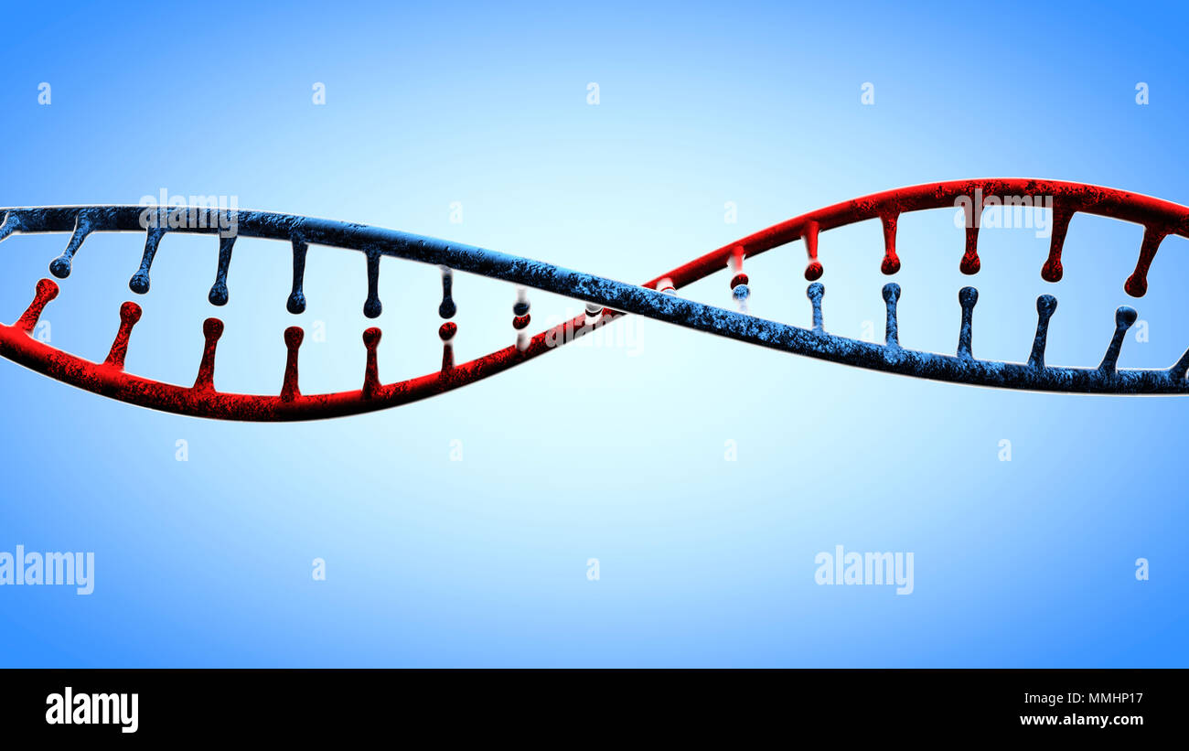 DNA, Deoxyribonucleic acid is a thread-like chain of nucleotides ...
