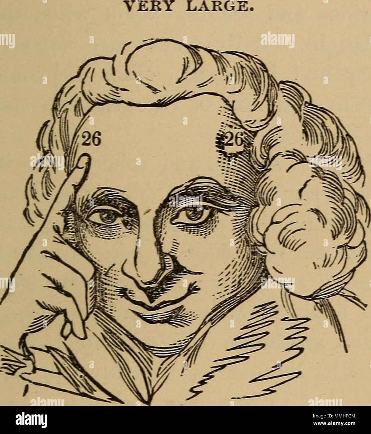 "The practical phrenologist and recorder and delineator of the ...