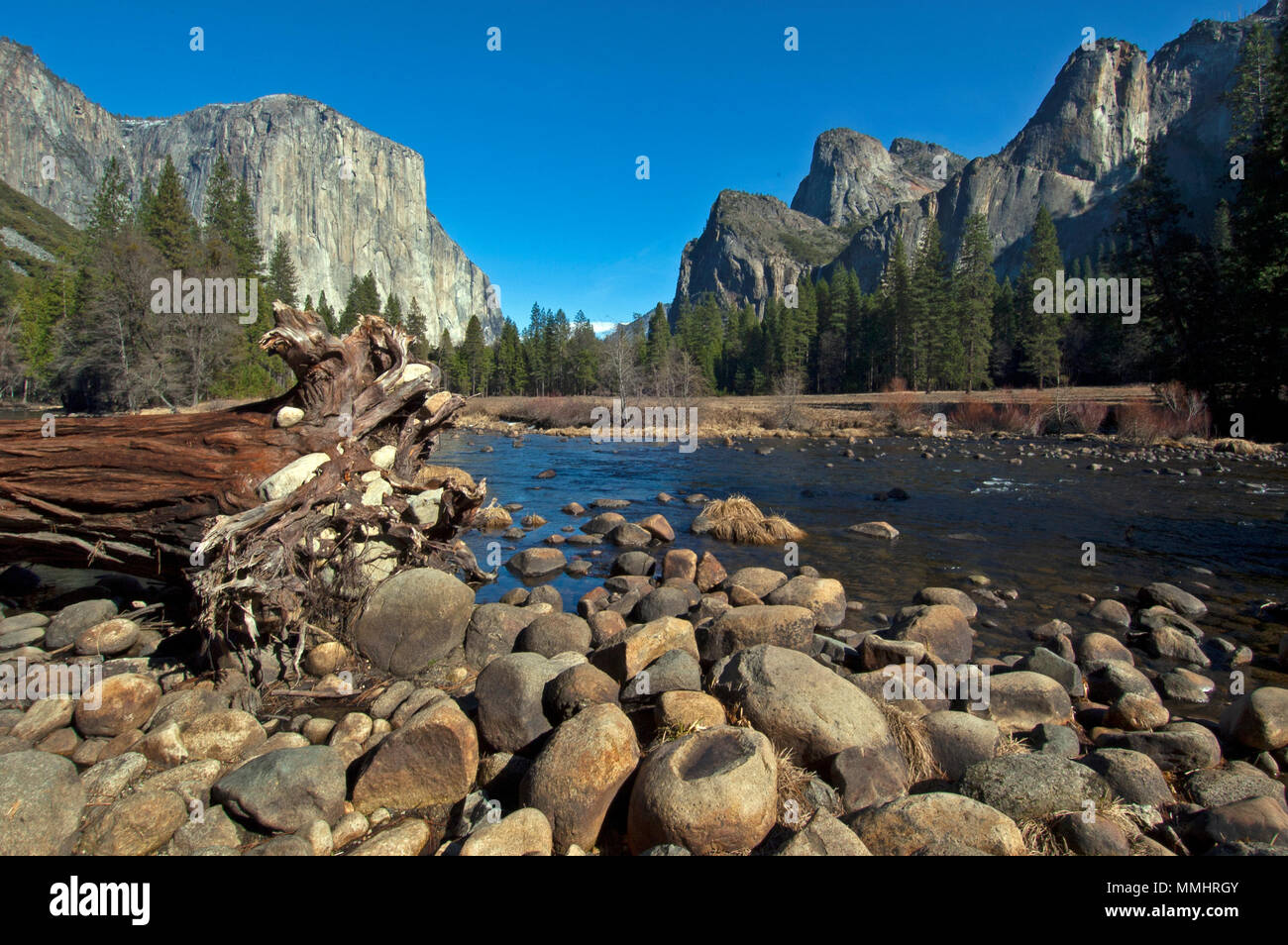 Yosemite yosemite national park hi-res stock photography and images - Alamy