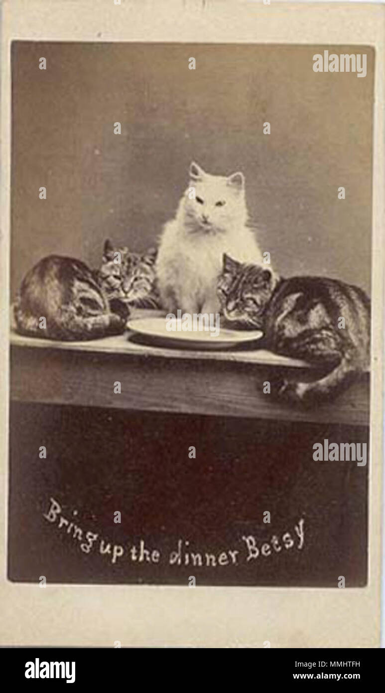 . English: 'Bring up the dinner Betsy', a carte from 'The Brighton Cats ...