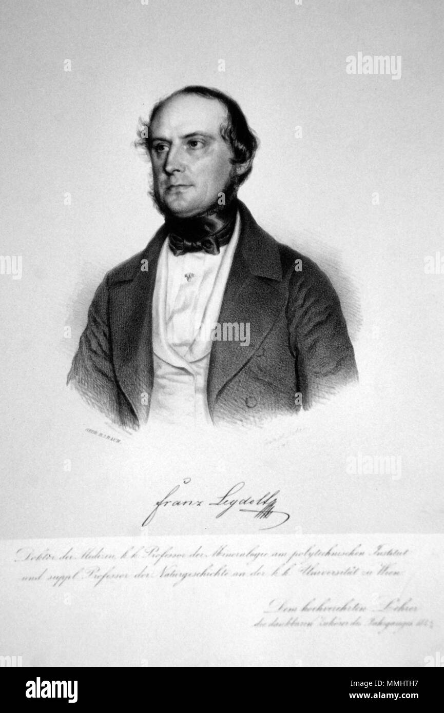 Franz decker hi-res stock photography and images - Alamy