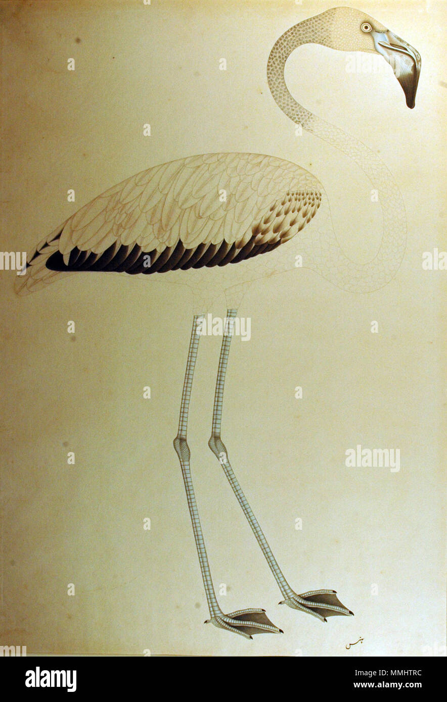Impey album hi-res stock photography and images - Alamy