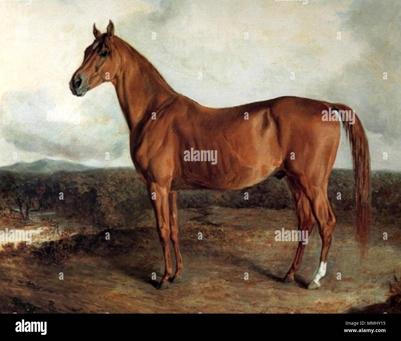 Racehorse eclipse hi-res stock photography and images - Alamy