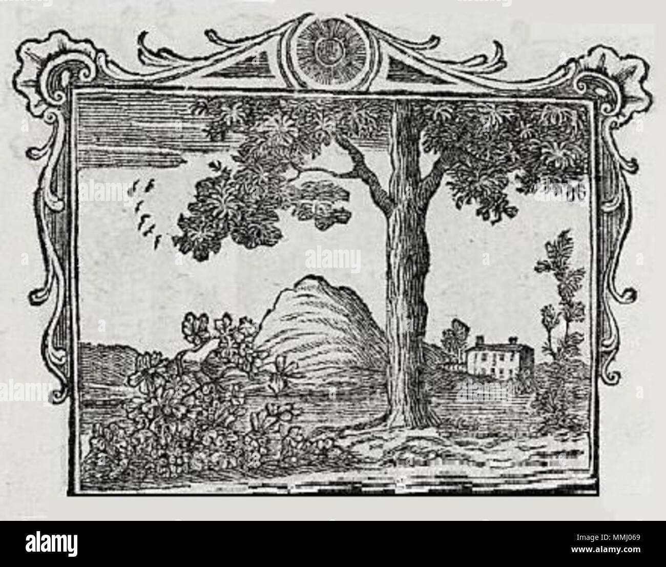 . English: The fable of the Elm-tree and the Vine in Robert Dodsley's ...