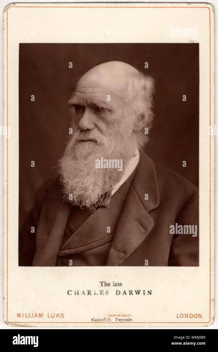 . English: A photograph of Charles Darwin from 1877 by Lock & Whitfield ...