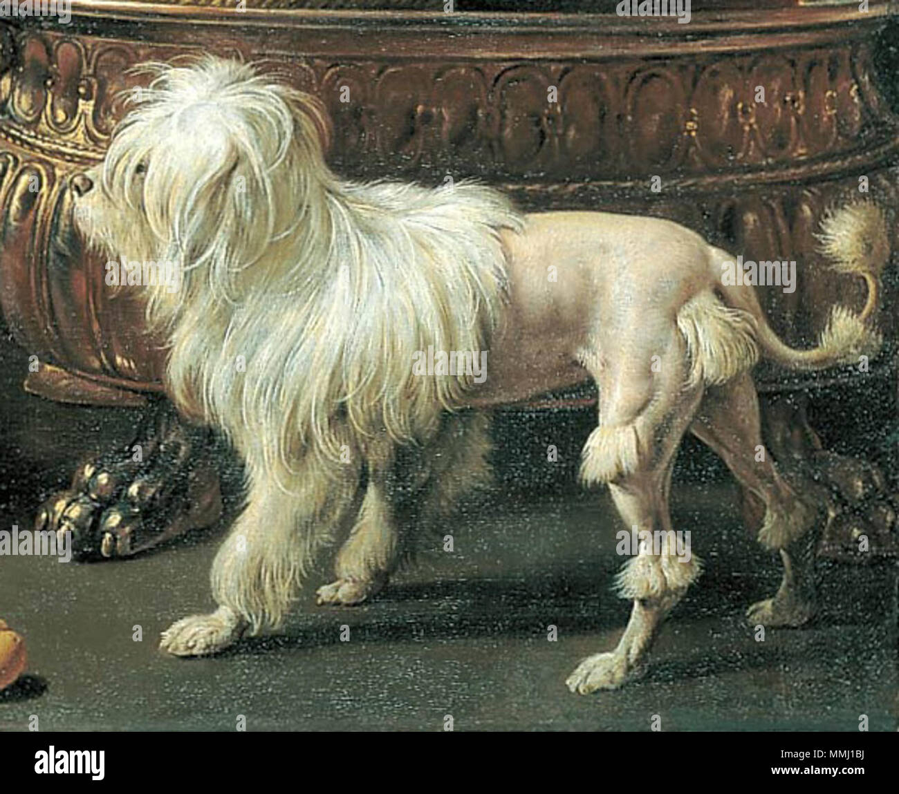 Hund detail hi-res stock photography and images - Alamy