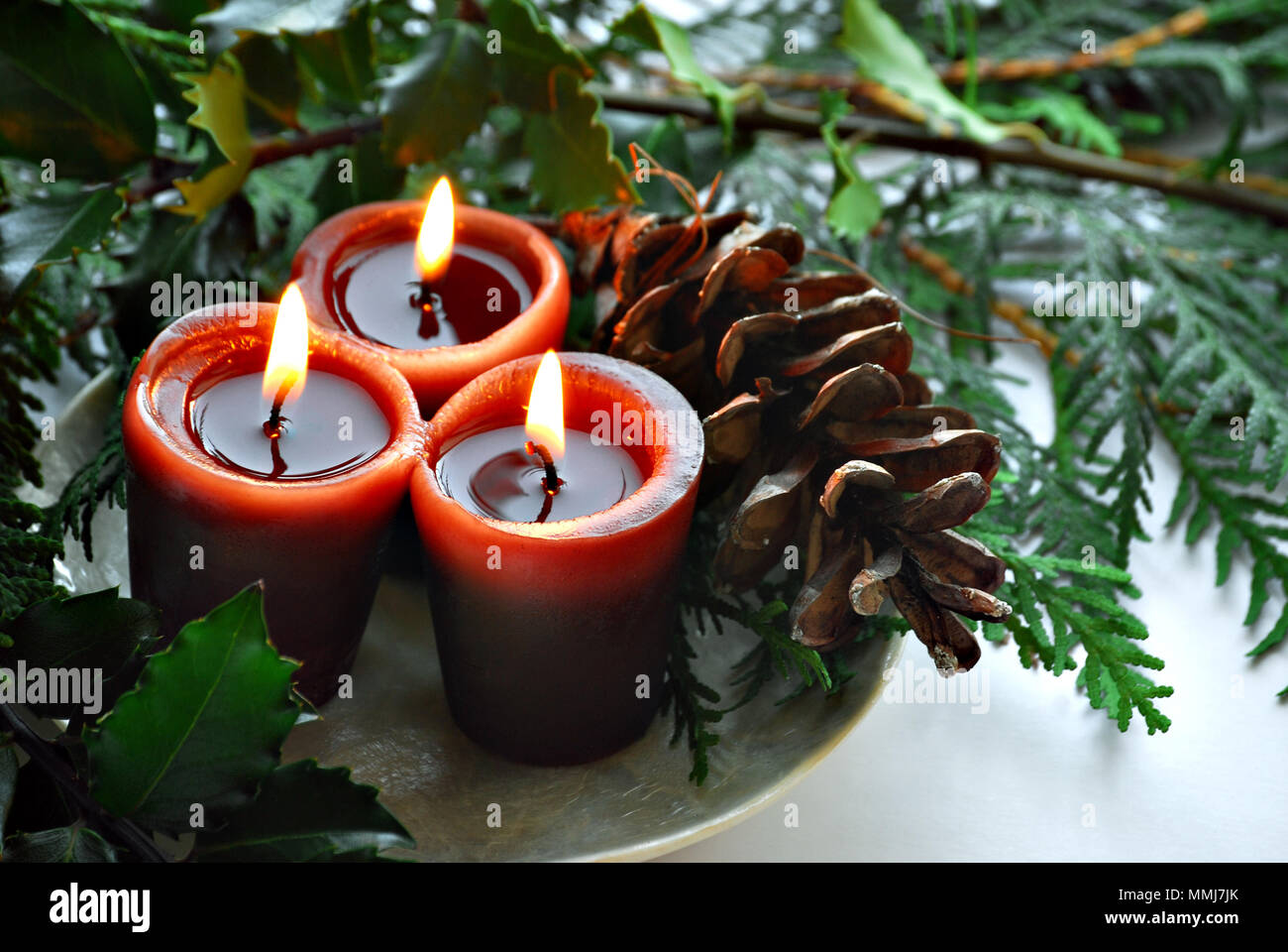 Pinecone still photography hi-res stock photography and images - Alamy